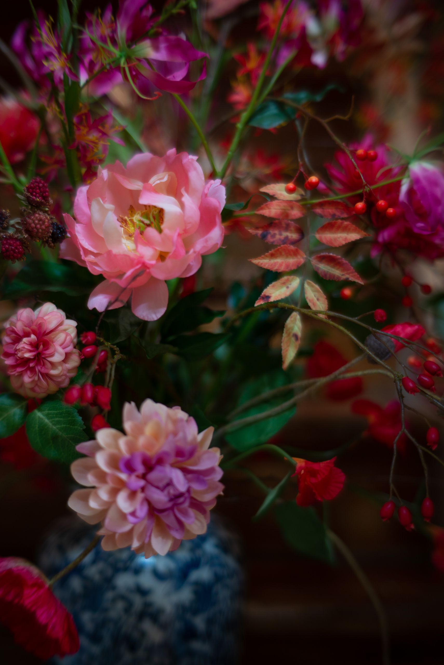 Dutch Floral Stories / Legal Terms, Privacy and Cookie statement